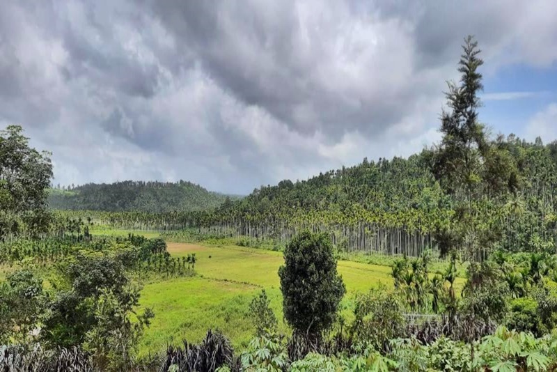 Agronest Farm, Wayanad - Book by Hour & Save Upto 70% on Wayanad Hotels